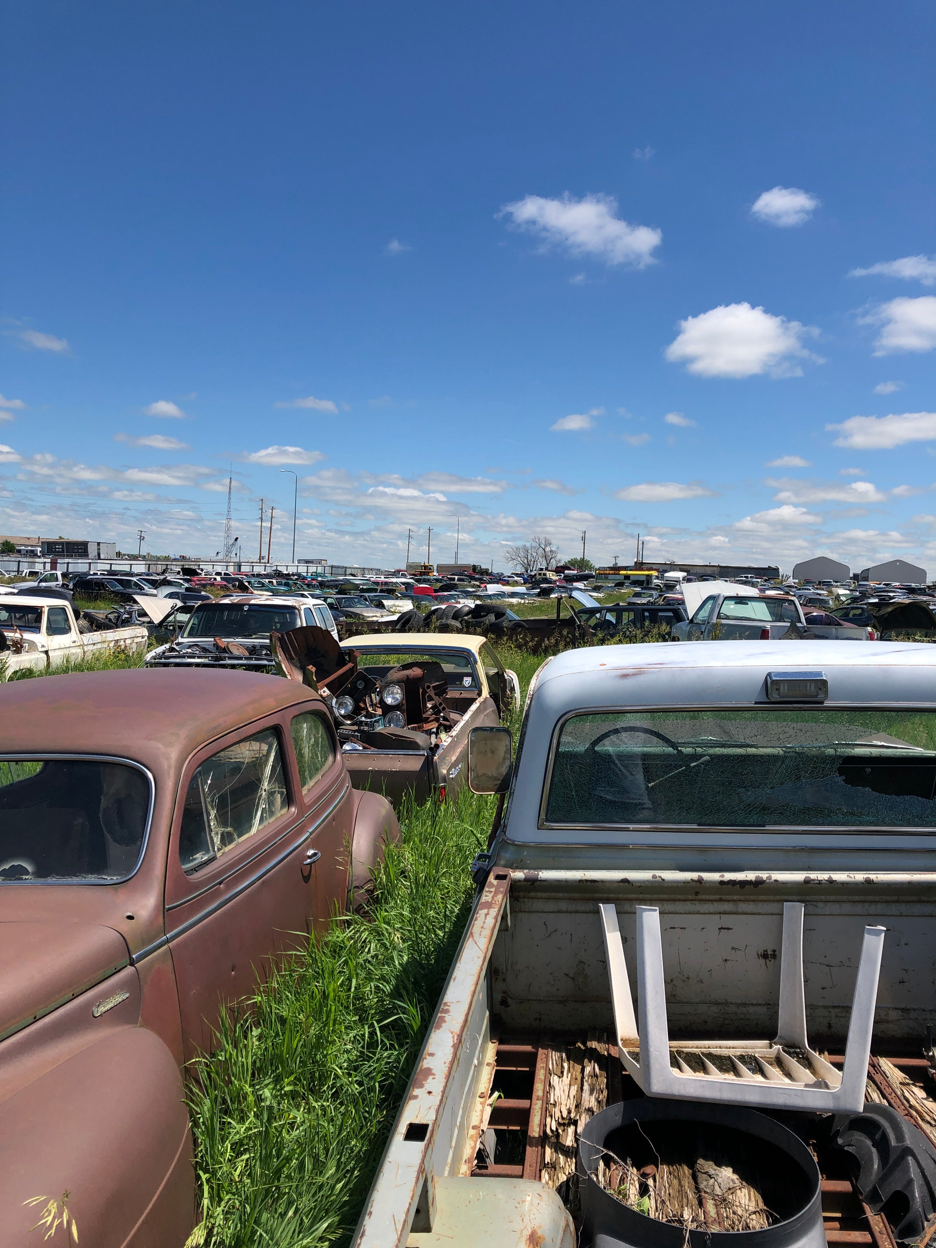 Artificial Intelligence and License Plates? – RusticPlates