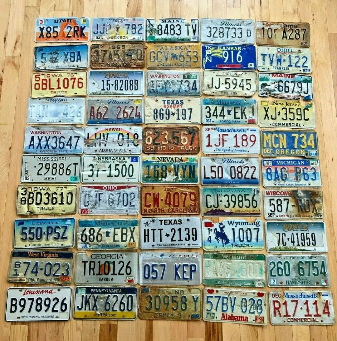 New Item: 50 Roadkill Condition License Plates from at least 30 Differ ...