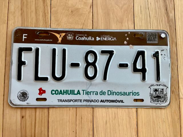 Coahuila Mexico License Plate – RusticPlates