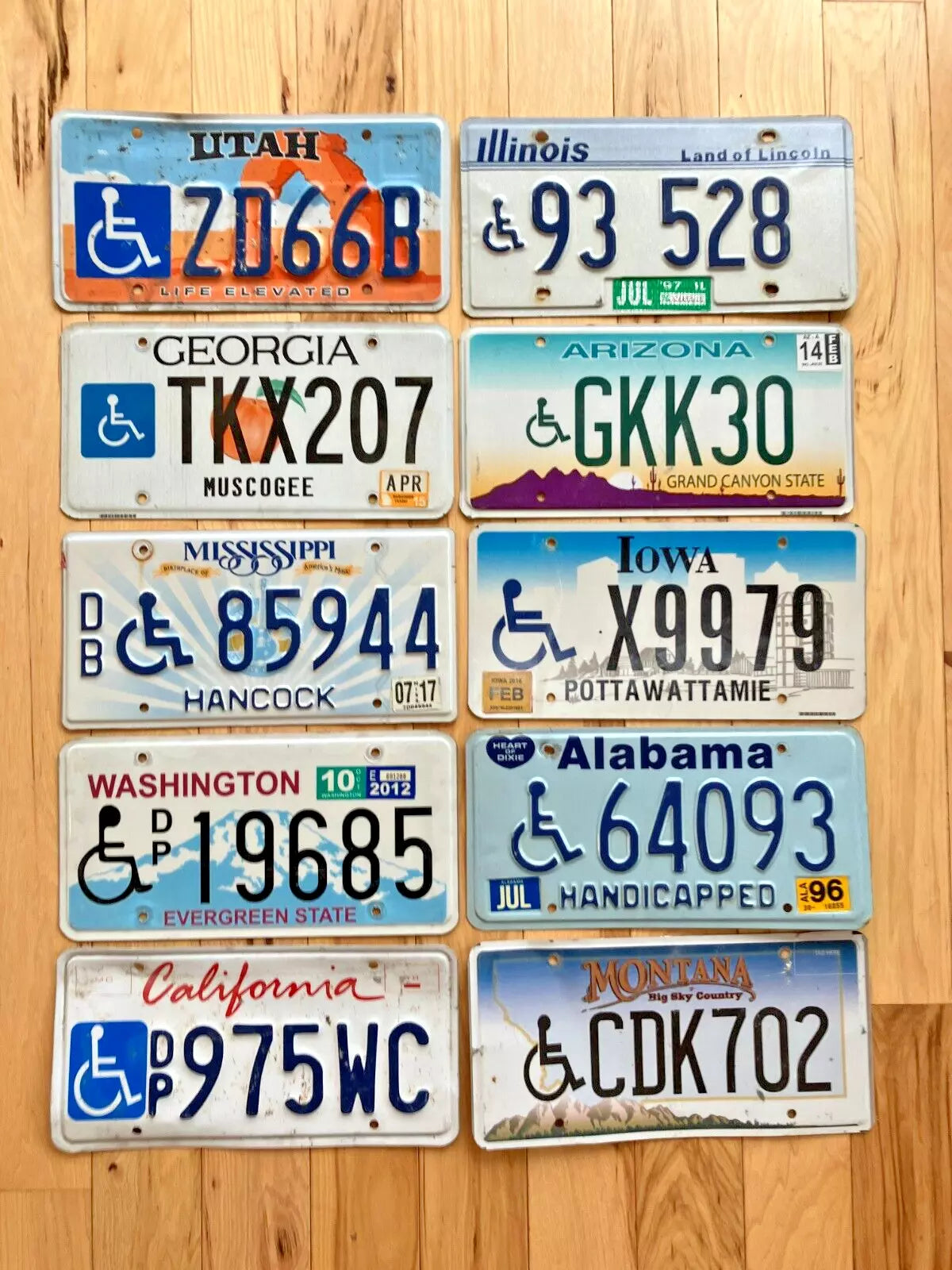 10 Craft Condition Handicapped/Disabled License Plates from 10 Differe ...